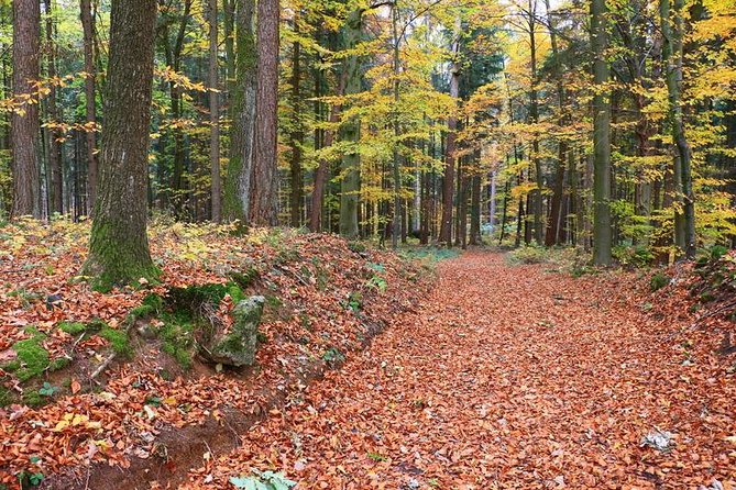 Fünf Seidla Steig ® Beer Hike Food Experience Private Tour (departs Nuremberg) - Key Points