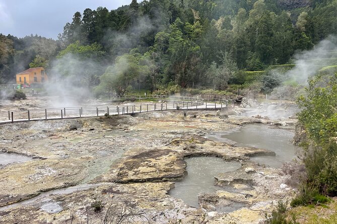 Furnas Vale, Gorreana Tea Factory Private Van Tour - Key Points