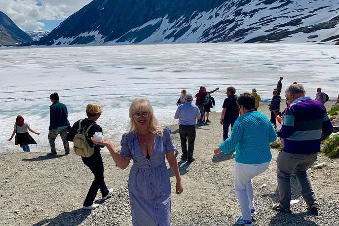 Geiranger by Royal route, 5 hours with visiting a high-mountain farm - A Closer Look at the Itinerary