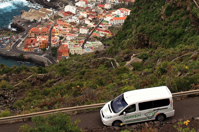 Get to know the Teide National Park and the north of Tenerife on a private tour - An In-Depth Look at the Tour Experience