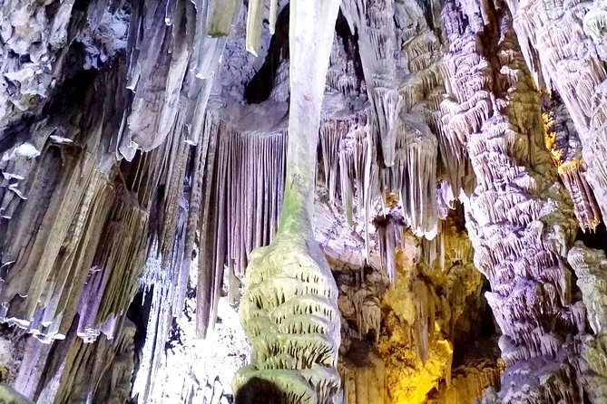 Gibraltar private trip from Marbella or Malaga - What We Love About This Tour
