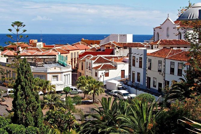 Go West - VIP Private Tour in Tenerife to Masca, Garachico and Icod - In-Depth Breakdown of the Itinerary