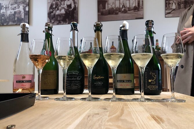 Gold Champagne Experience from Reims (Private Full day tour) - Who Is This Tour Best For?