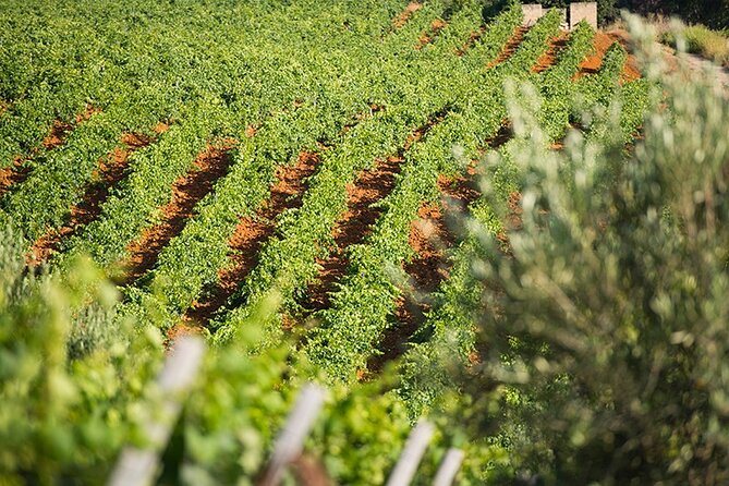 Gourmet Pizza Workshop and Wine Tasting - A Closer Look at the Experience