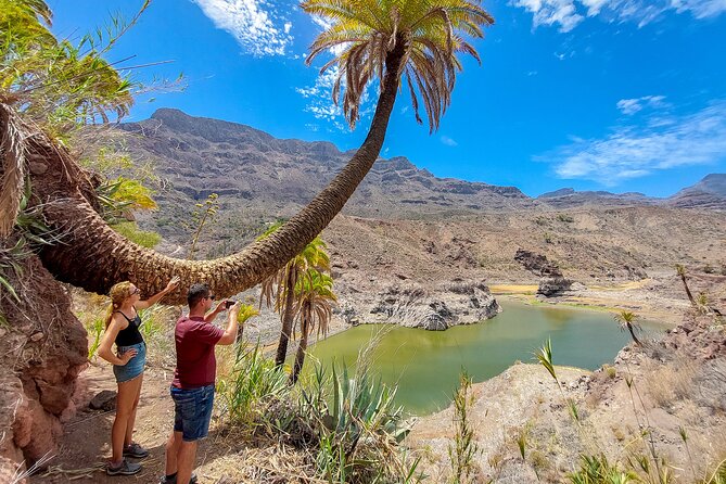 Gran Canaria Cave, Oasis, Red-gorge Adventure & cosy Picnic - Who Will Love This Tour?