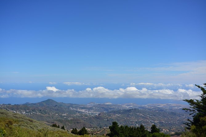 Gran Canaria Peaks Full-Day Tour from Las Palmas - Price and Value