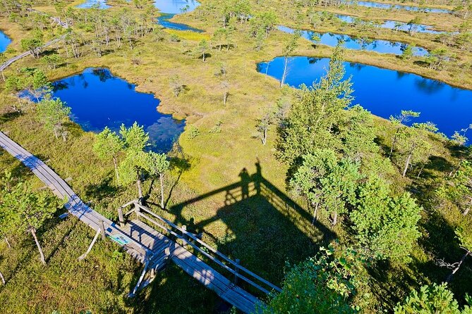 Great emeri Bog and Swamp Forest Hiking Adventure - Exploring the Kemeri National Park: The Great Bog