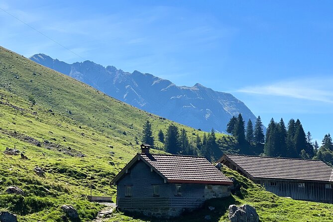 Grindelwald, Lauterbrunnen & Brienz from Zurich - The Journey Begins: Zurich to the Swiss Countryside