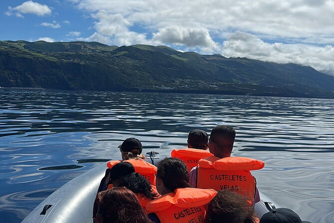 Guided activity in the Heart of Azores with whales and dolphins - Key Points