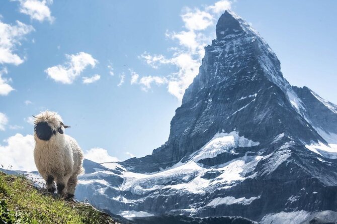 Guided Hiking Half Day in Zermatt - Key Points