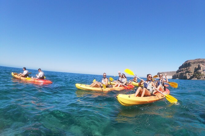 Guided Kayaking Trip in Gran Canaria - Who Is This Tour Best Suited For?