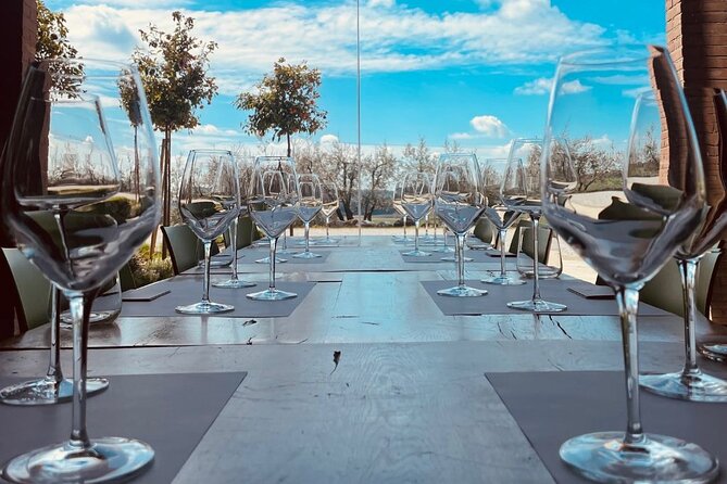 Guided Premium Tour in Lugana DOC - 5 wines from Perla del Garda - Key Points