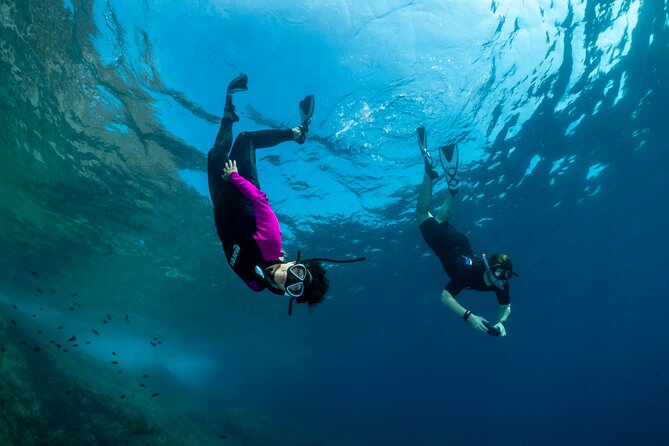Guided snorkeling in the Portofino Marine Protected Area - What Makes This Snorkeling Tour Stand Out