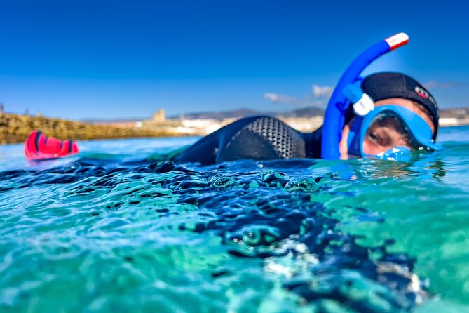Guided snorkeling route in the Strait Natural Park - Key Points