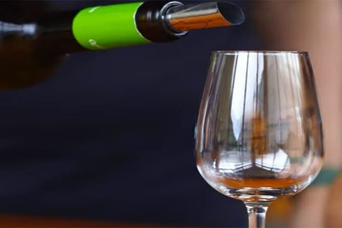 Guided Toboggan Ride and Madeira Wine Tasting Tour - How the Tour Is Structured