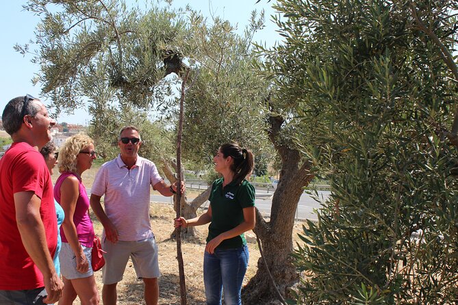 Guided tour and olive oil tasting in Alhaurin el Grande (Málaga) - Exploring the Olive Oil Heritage of Alhaurín el Grande
