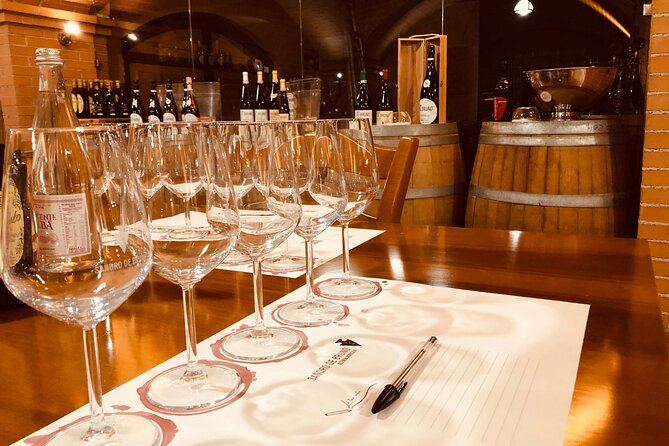 Guided Tour and Wine Tasting in the Sandro De Bruno Winery - Authenticity and Quality: What Past Travelers Say
