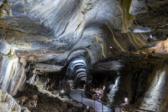Guided Tour of Aillwee Cave and Visit to the Birds of Prey Centre - Practical Tips for Visiting
