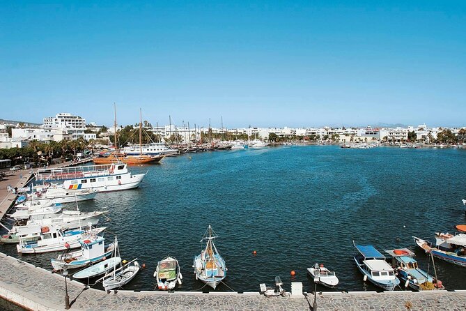 Guided Tour of Kos Town Asclepeion and Zia with Wine Tasting - Key Points