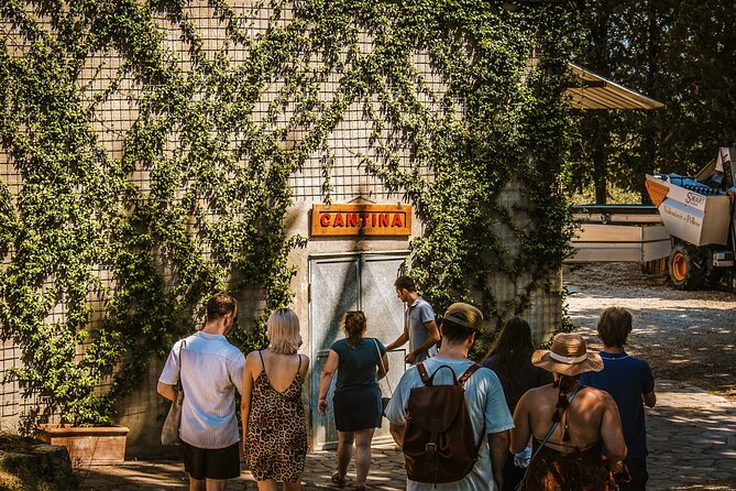 Guided tour of the cellars with wine tasting and lunch - Practical Details: What to Expect