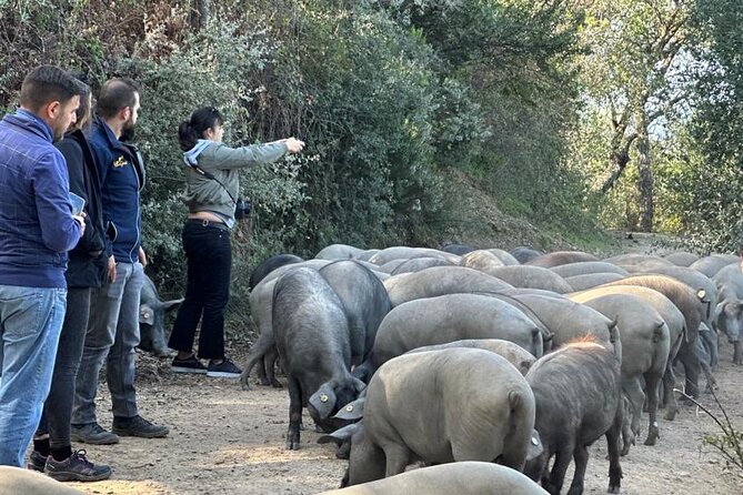 Guided Tour of the Genal Valley - Exploring the Itinerary in Detail
