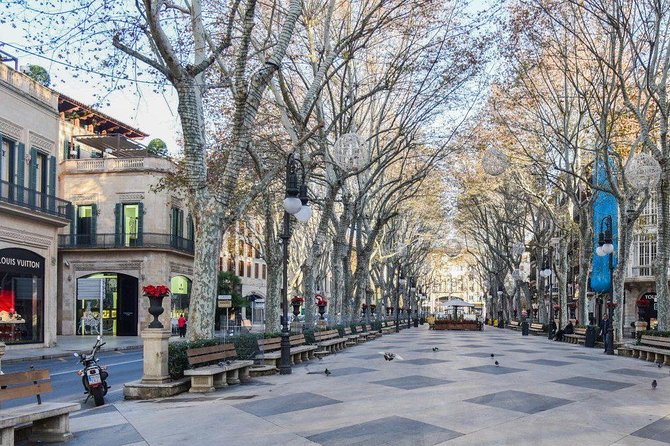 Guided Tour: Palma Old town and Cathedral Visit - A Closer Look at the Itinerary and Experiences