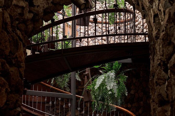 Guided Tour with 6 Wine Tasting - An In-Depth Look at the Bodegas Viñátigo Tour