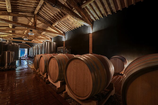 Guided Winery Tour and Wine Tasting in Siena - The Itinerary: What to Expect at Each Step