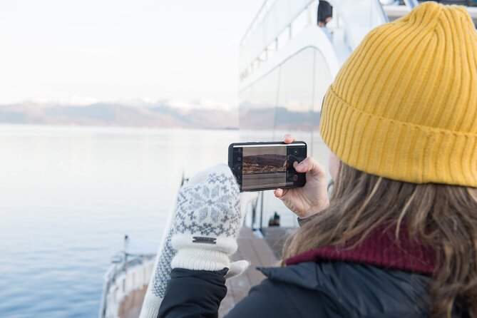 Half Day Arctic Fjord Cruise from Tromso - An In-Depth Look at the Fjord Cruise Experience