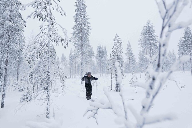 Half-Day Backcountry Skiing Tour in Levi with Photography Guide - Why This Tour Offers Great Value