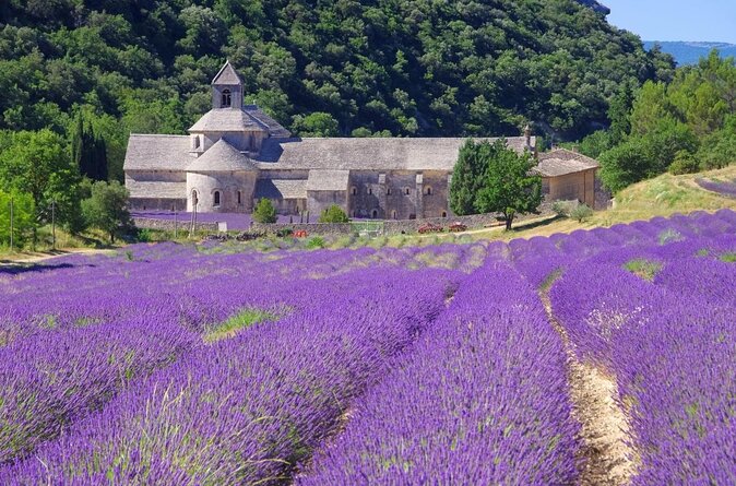 Half-Day Baux de Provence and Luberon Tour from Avignon - Why You’ll Love This Tour