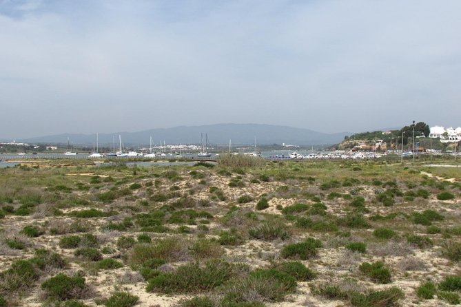 Half-day birdwatching at Alvor dunes - Why This Tour Stands Out