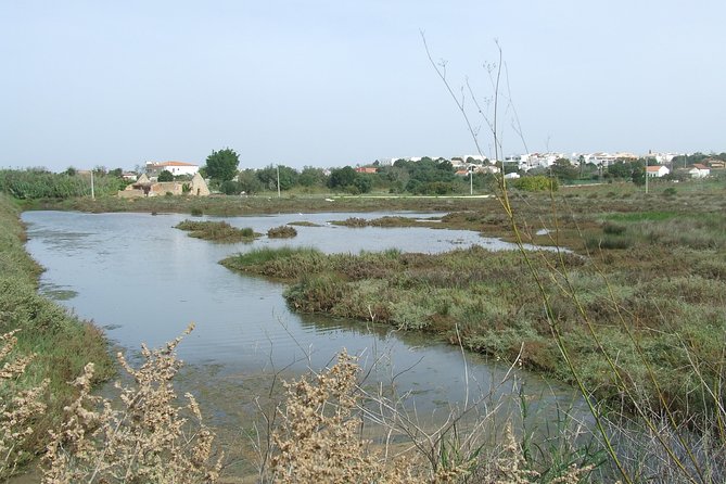 Half-day birdwatching at the Abicada marshed - A Rich and Varied Itinerary