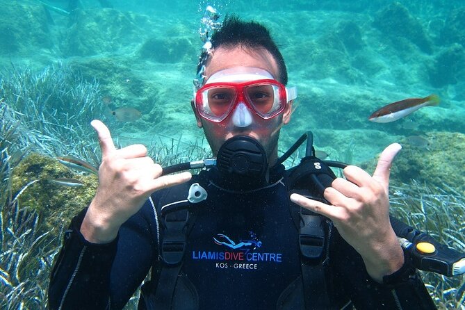 Half day boat diving experience for beginners in Kos Greece - Key Points