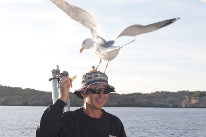 Half-Day Boat Tour along The South Coast of Menorca - A Close Look at the Experience