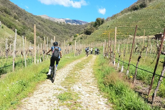 Half-Day E-Bike Tour in Prosecco Hills with Prosecco Tasting - Who Will Love This Tour?