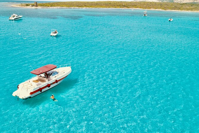 Half Day Excursion to Asinara (3h) - What Makes This Tour Special