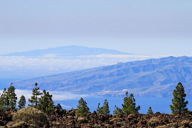 Half-day excursion to Teide National Park - Why Choose a Half-Day Tour to Teide National Park?