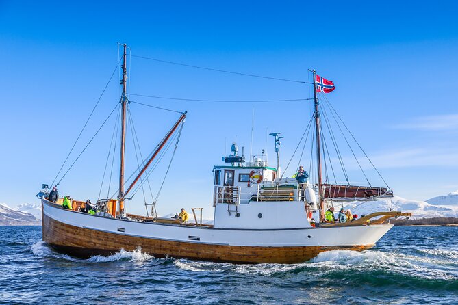 Half-Day Fishing & Fjord Cruise Adventure from Tromsø in Norway - An In-Depth Look at the Tromsø Fishing & Fjord Cruise