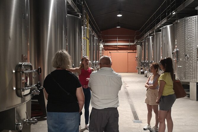 Half-day in the Médoc : 2 wineries & 6 wines - An In-Depth Look at the Médoc Half-Day Tour