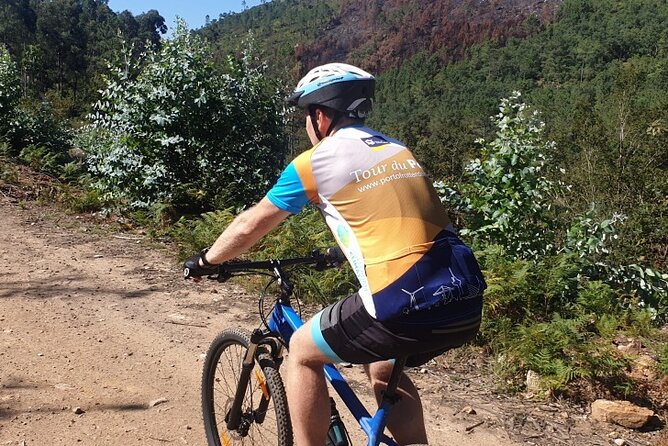 Half day Mountain Bike Tour in Porto - Practical Details: Transportation, Timing, and Considerations