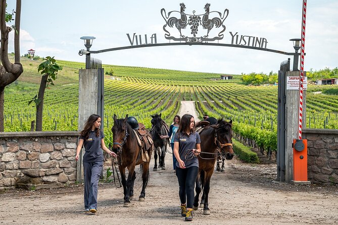Half-Day of Horseback Adventure with Wine Tasting - Key Points