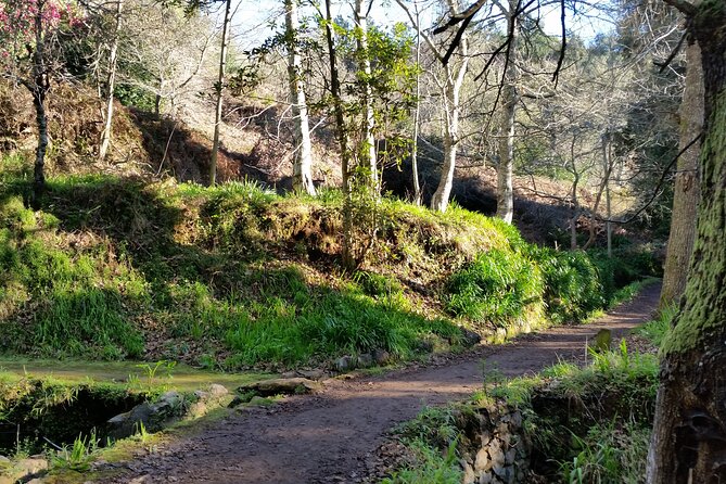 Half-Day Paradise Valley Walking Tour - Key Points