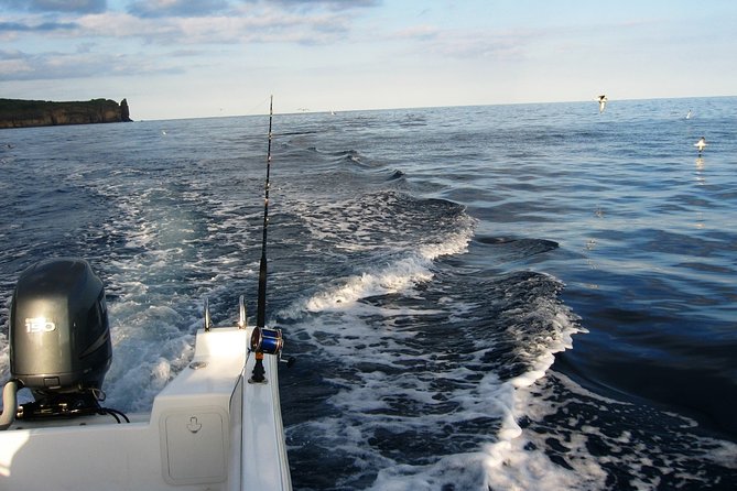 Half-Day Private Coastal Fishing Escape - A Closer Look at the Experience