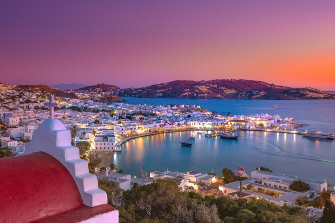 Half-Day Private Guided Tour in Mykonos up to 6 - Who Should Consider This Tour?