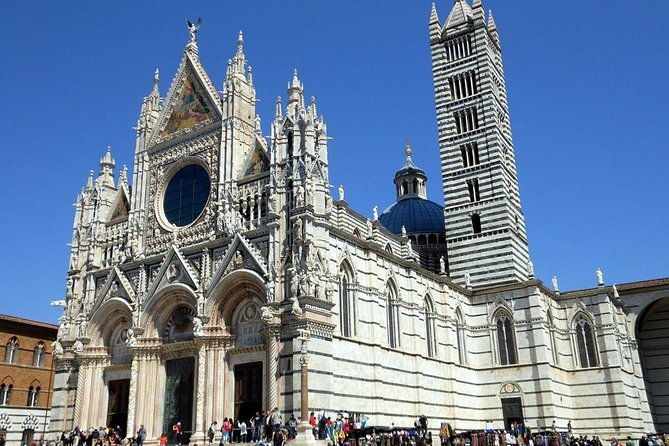 Half-day Private Walking Tour of Siena - What to Expect: A Closer Look at the Tour