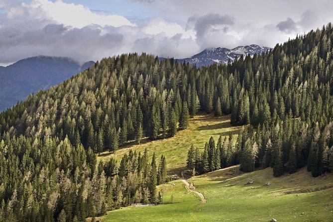 Half-Day Small-Group Hiking Tour of Vievnik - Why This Tour Offers Excellent Value