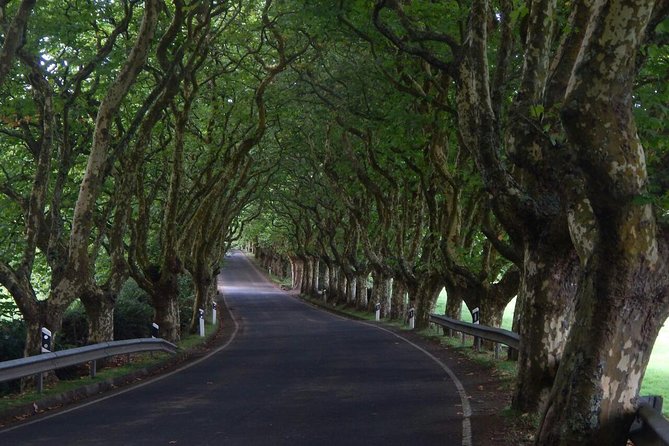 Half Day Terceira Island Tour by 4x4 - A Detailed Look at the 4x4 Tour