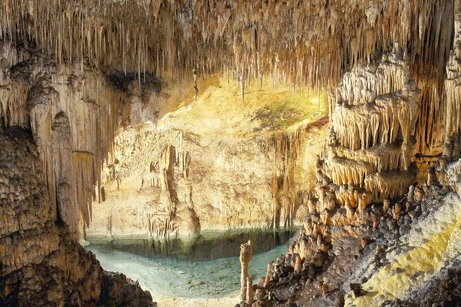 Half Day Tour Bus to the Caves of Drach - Why This Tour Is Worth Considering