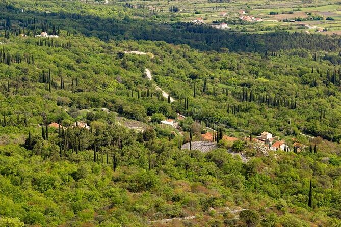 Half-Day Wine and Food Tasting from Dubrovnik - An In-Depth Look at the Tour Itinerary
